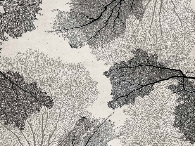 Tapeta One Wall Design Boscarello | sklep KLER